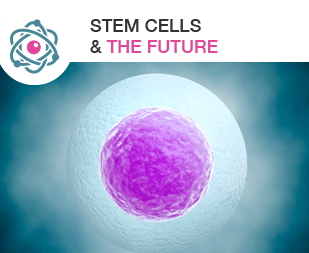 Home - StemCell ARTS